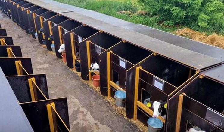 Vitagro побудувала новий телятник - AgroTimes