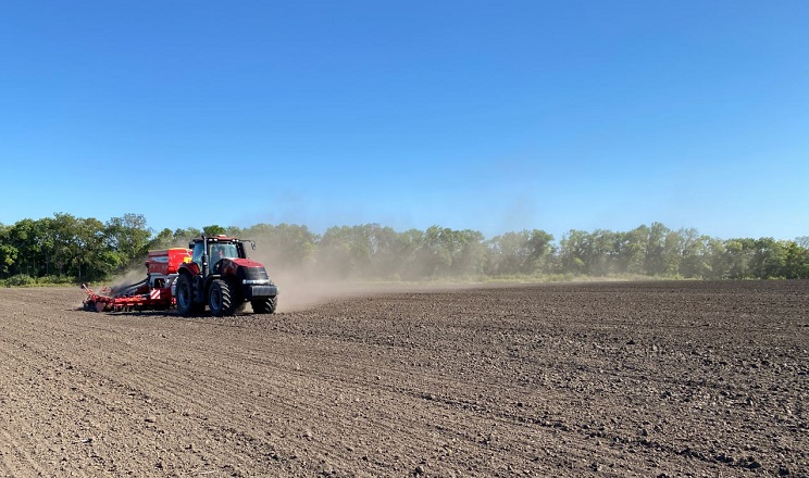 Посуха ставить під загрозу сівбу озимої пшениці - AgroTimes