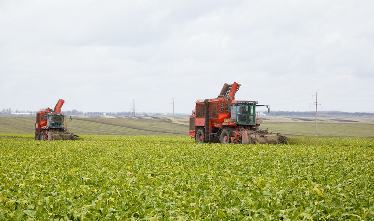 У 2023 році «Агропродсервіс» отримав найвищі врожаї - AgroTimes