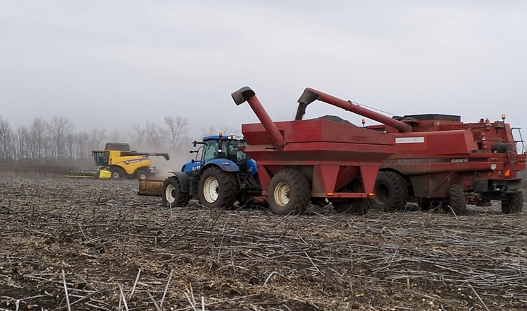 Господарство «Коновалівка-Агро» завершило збирання соняшнику - AgroTimes