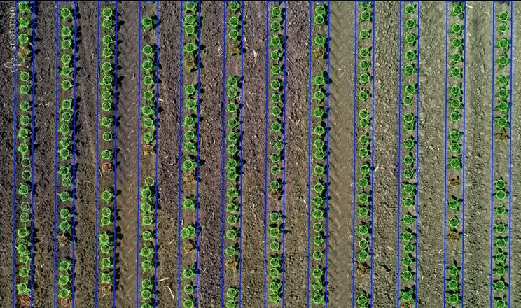 У «Кернел» розповіли, як моніторять поля за допомогою БПЛА та штучного інтелекту - AgroTimes