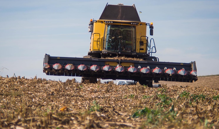 Погода в Україні: без опадів - AgroTimes