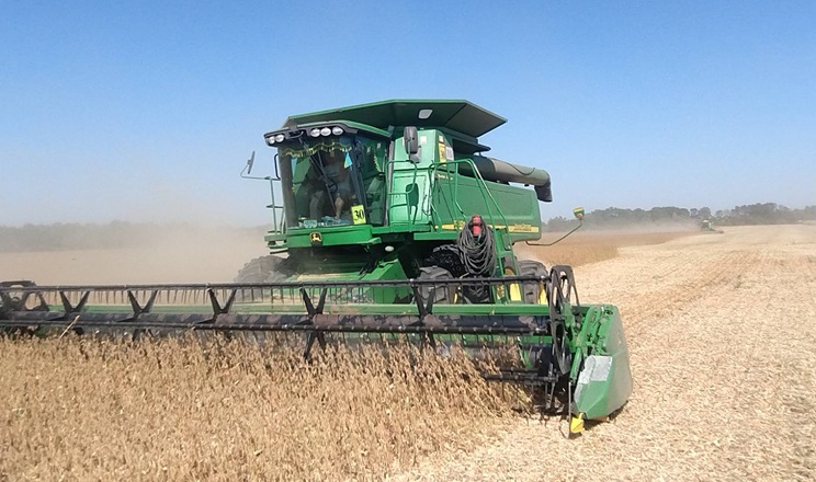 В KERNEL досягли планової врожайності сої та кукурудзи, попри посуху і спеку - AgroTimes