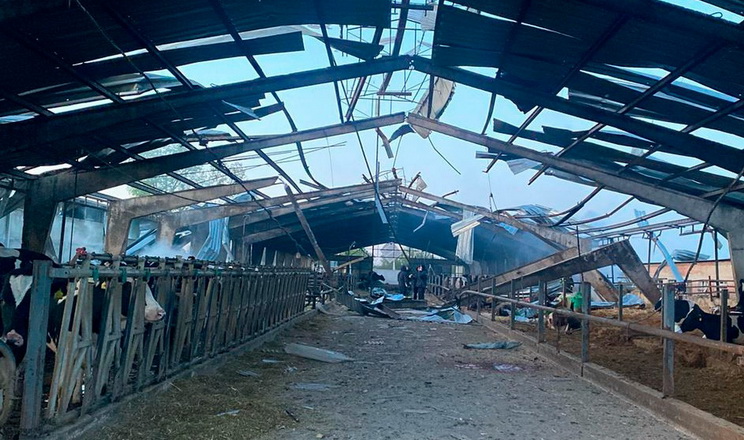 На харківській фермі через атаку дронів загинуло 22 корови - AgroTimes